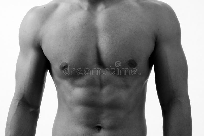 Monochrome Torso stock image. Image of deltoids, muscles - 791105