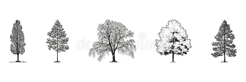 Monochrome Illustration Collection Stock Illustrations – 128,488 ...