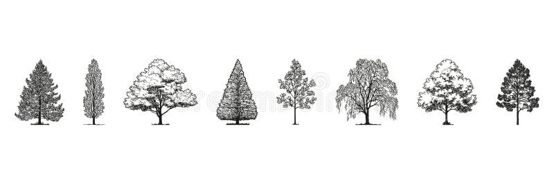 Monochrome Illustration Collection Stock Illustrations – 128,488 ...