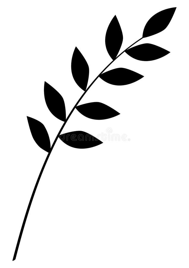 Monochrome Vector Illustration of Branch and Leaves Stock Vector ...