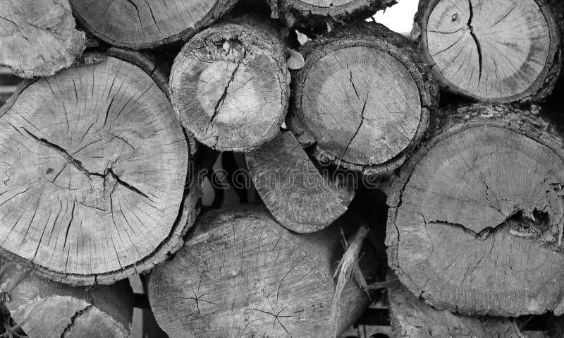 Monochrome Wooden Log Stack Stock Image - Image of pattern, heap: 120427641