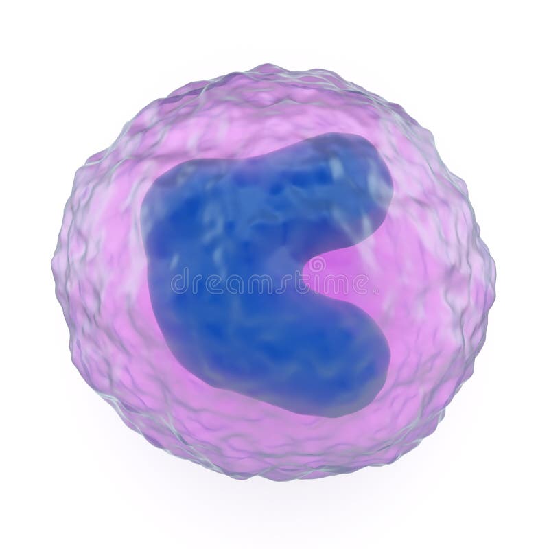 Monocyte illustration stock. Illustration du science - 32617104
