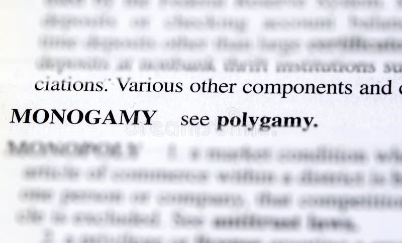 Monogamy stock photo. Image of emotion, ceremony, wedding - 320336322