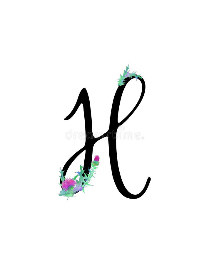 Monogram Letter H with Pretty Thistle Stock Vector - Illustration of ...