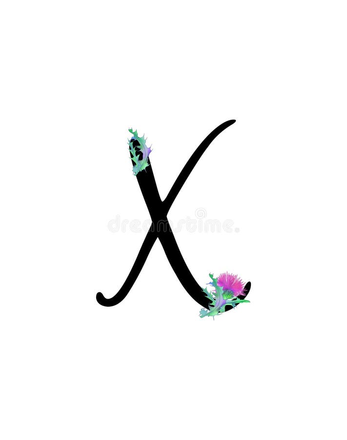 Monogram Letter X with Pretty Thistle Stock Vector - Illustration of ...