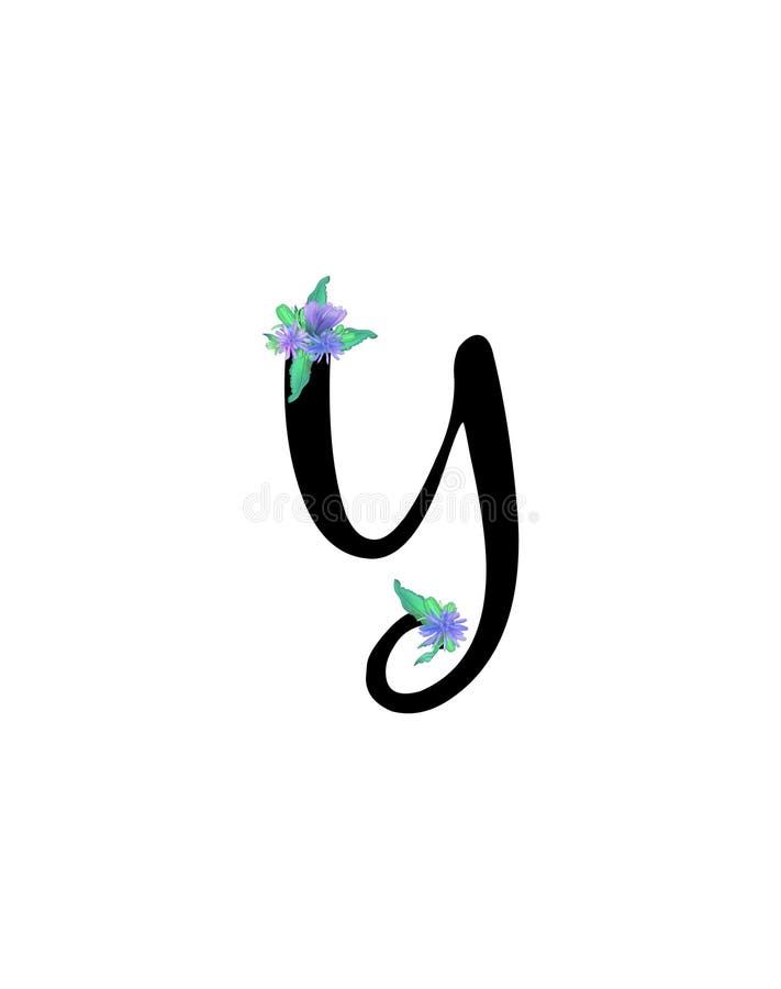 Monogram Letter Y with Pretty Chicory Stock Vector - Illustration of ...