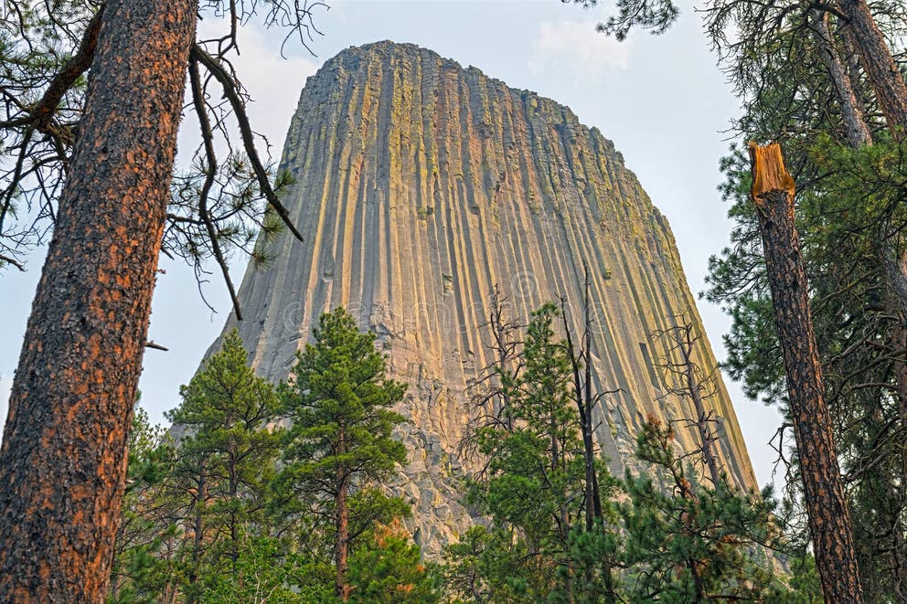 Monolith Framed by the Forest Trees Stock Image - Image of columnar ...