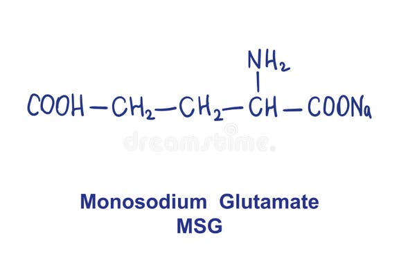 Monosodium Glutamate MSG Chemical Structure. Vector Illustration Hand ...