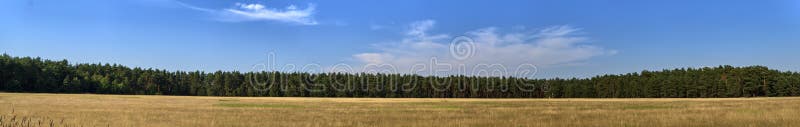 Monotonous Meditative Panorama from a Landscape with a Stubble Field, a ...