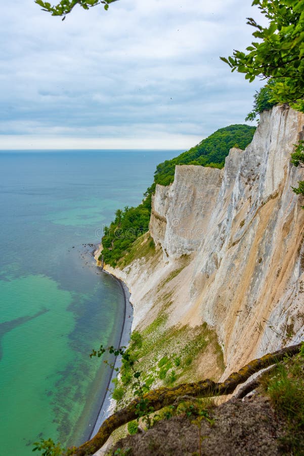 Mons Klint White Cliffs in Denmark Stock Photo - Image of tourist ...