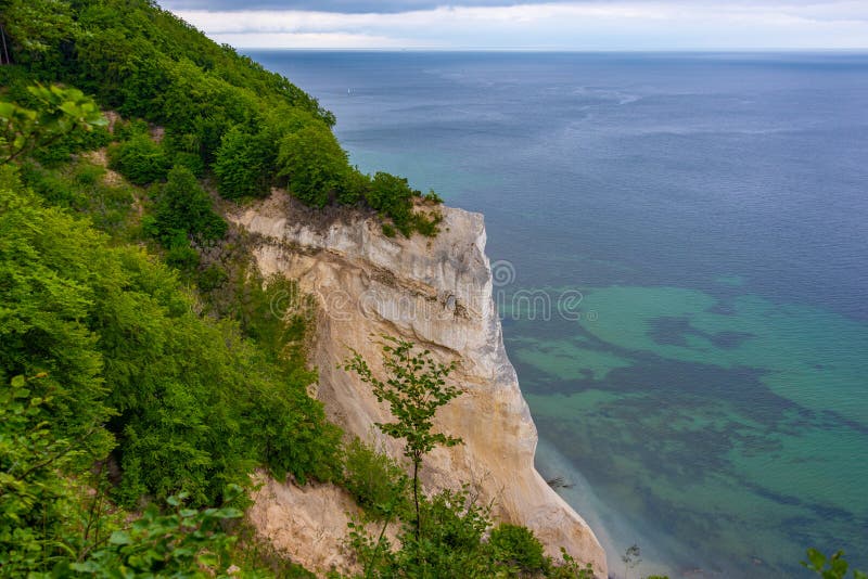 Mons Klint White Cliffs in Denmark Stock Photo - Image of seaside ...