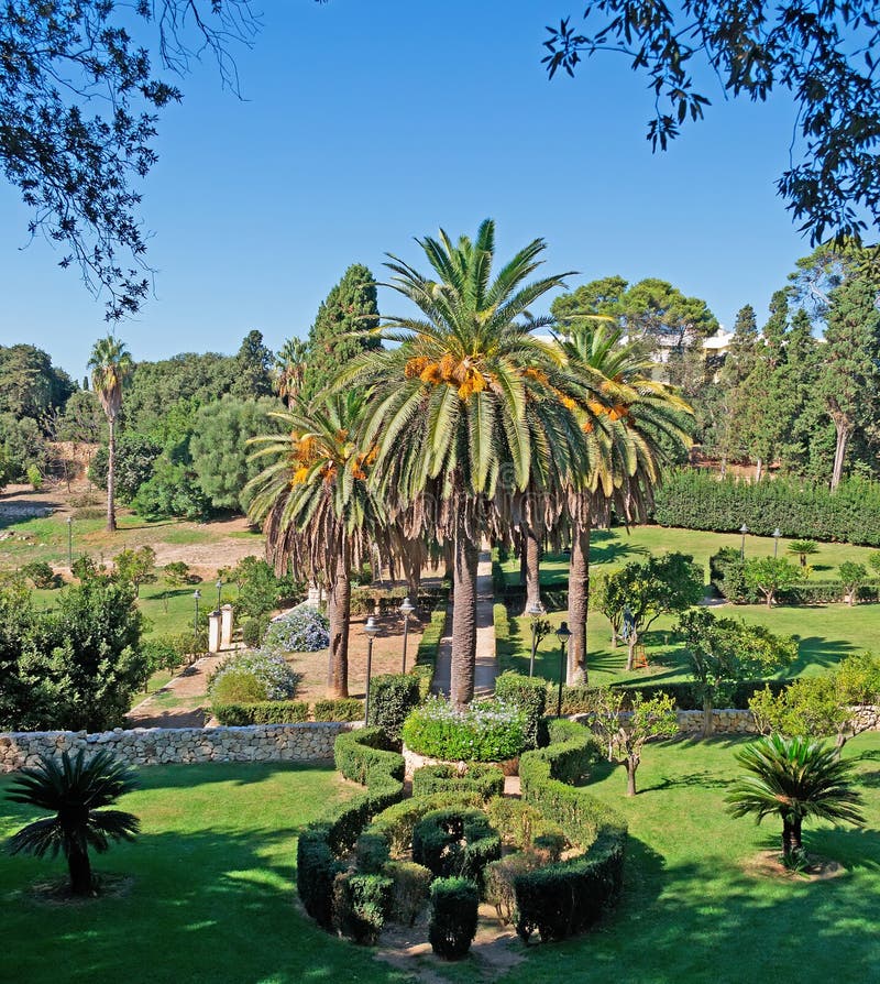 Monserrato palms stock image. Image of shadow, blue, mediterranean ...