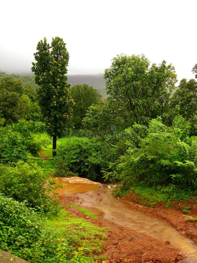 Monsoon Color stock image. Image of season, great, scenic - 4795987