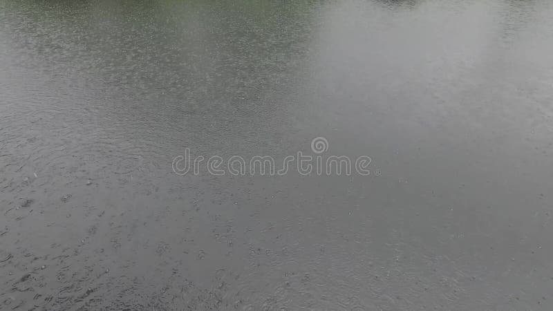 Rain Drops Falling on Water Surface. Closeup. Splashing Monsoon ...