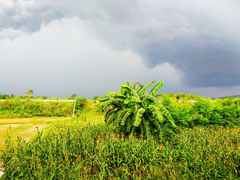 Monsoon weather clouds stock photo. Image of weather - 131489146