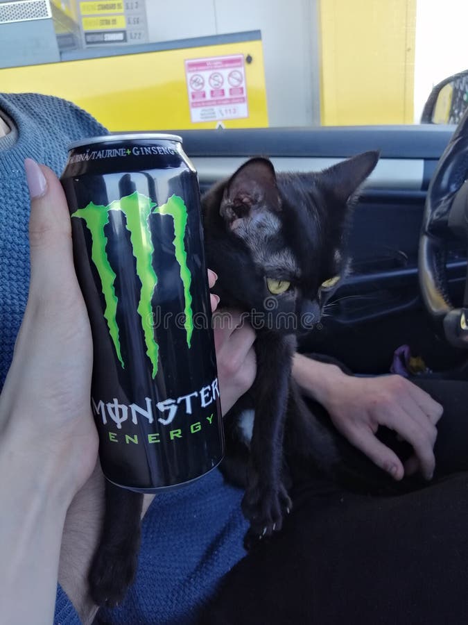 Monster Energy Black Cat Stock Photos - Free & Royalty-Free Stock ...