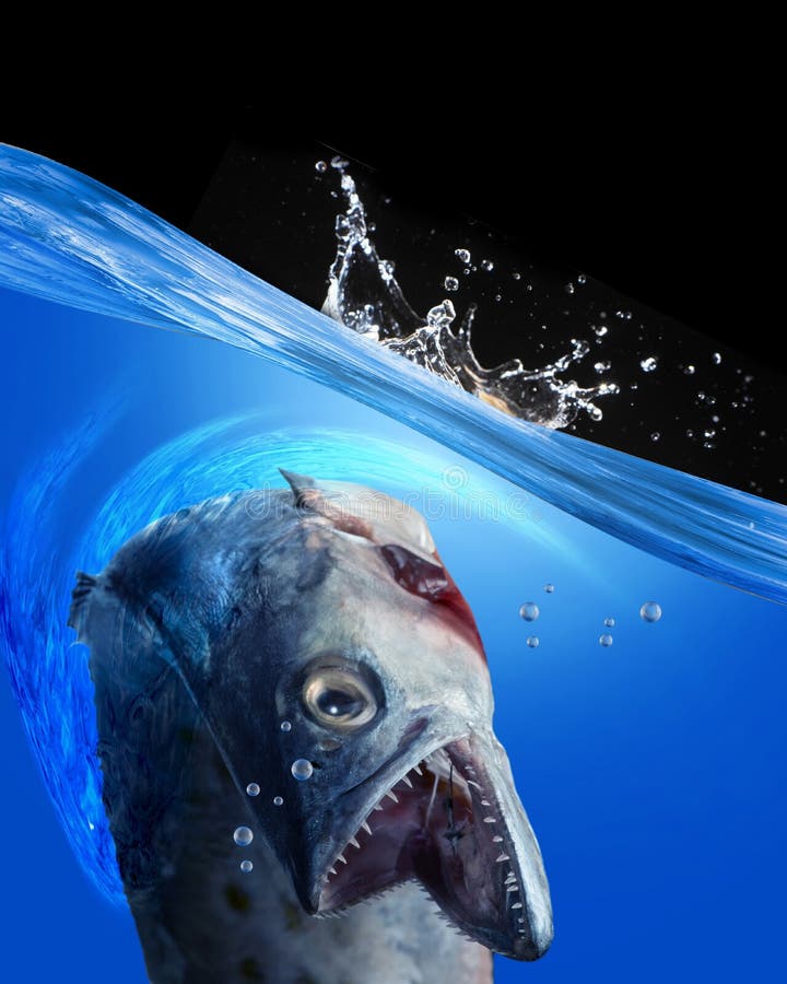 Monster Fische Stockfotos und Bilder - Laden Sie 1,657 lizenzfreie ...