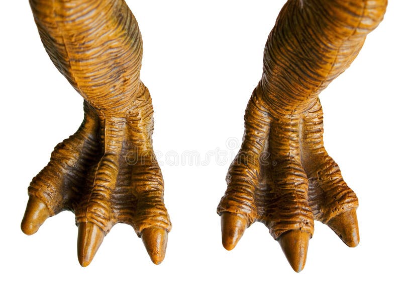 Monster foot stock photo. Image of lizard, large, background - 11108530