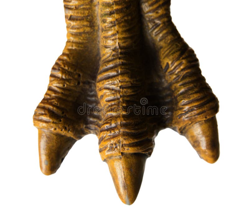 Monster foot stock image. Image of shape, evil, isolated - 11274991