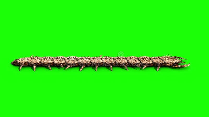 Giant Worm Monster Crawl Loop Side Green Screen 3D Rendering Animation ...