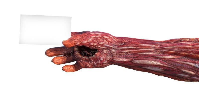 Monster Hand Holding Business Card Stock Illustration - Illustration of ...