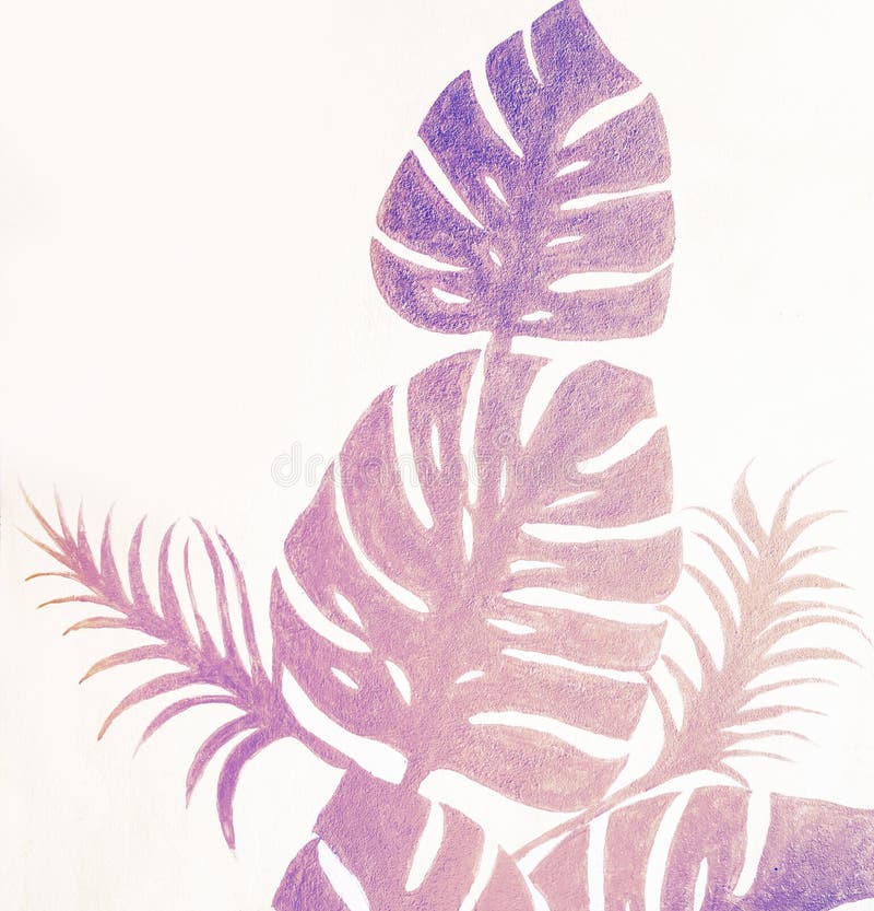 Monstera Deliciosa Leaves Silhouette on the White Background. Digital ...