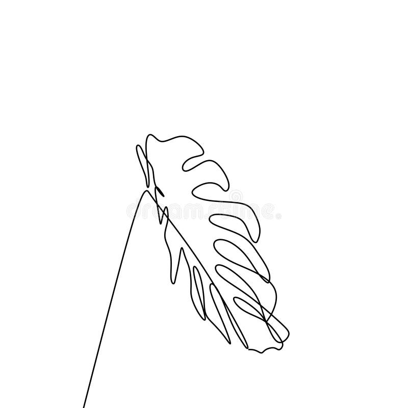 Monstera Delicosa Plant Leaves Continuous One Line Drawing Minimalist ... Monstera Delicosa Plant Leaves Continuous One Line Drawing Minimalist ...