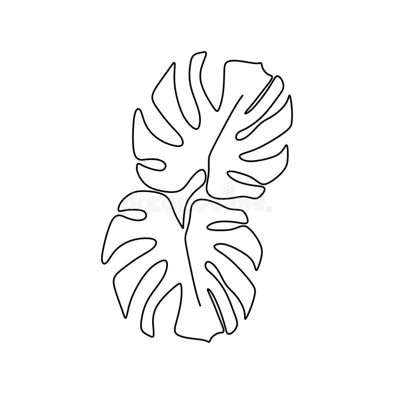 Monstera Delicosa Plant Leaves Continuous One Line Drawing Minimalist ... Monstera Delicosa Plant Leaves Continuous One Line Drawing Minimalist ...