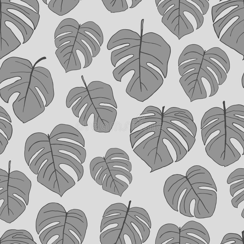 Monstera Hand Drawn Seamless Pattern Stock Illustration - Illustration ...