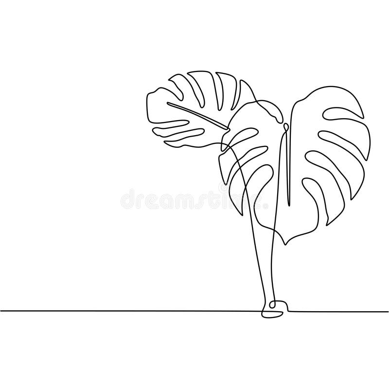One Line Drawing Monstera Stock Illustrations – 1,107 One Line Drawing ...