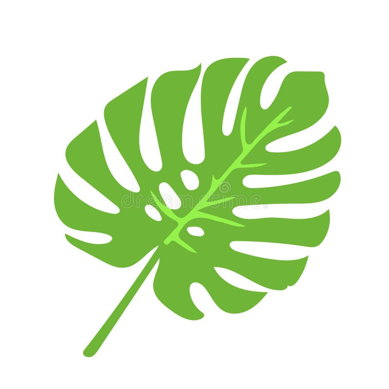 Monstera Leaf Design in Vibrant Green Color Stock Illustration ...