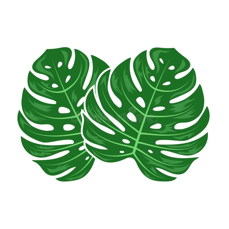 Monstera Leaf Illustration Vector Design Template Basic RGB Stock Illustration - Illustration of ...