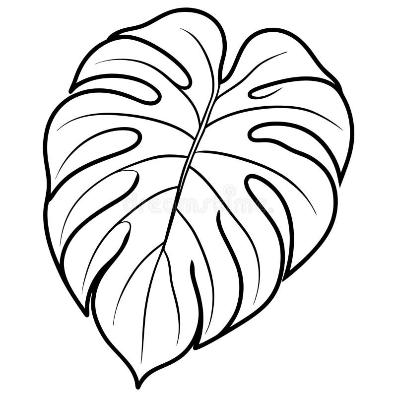 A Monstera Leaf line art stock vector. Illustration of fashion - 335023504