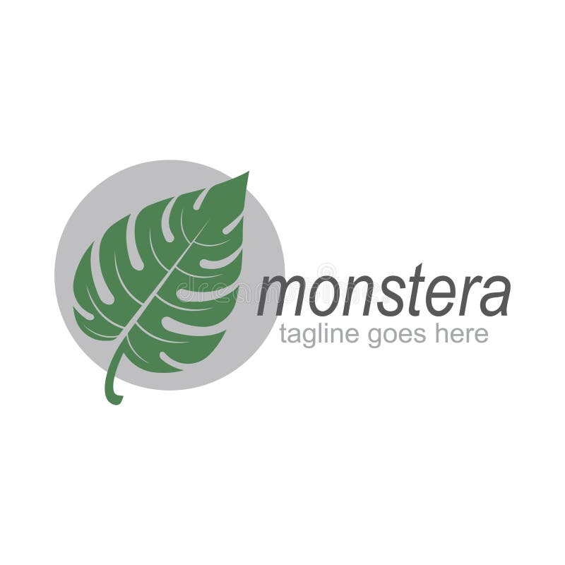 Monstera Leaf Logo Vector Design Stock Illustration - Illustration of ...