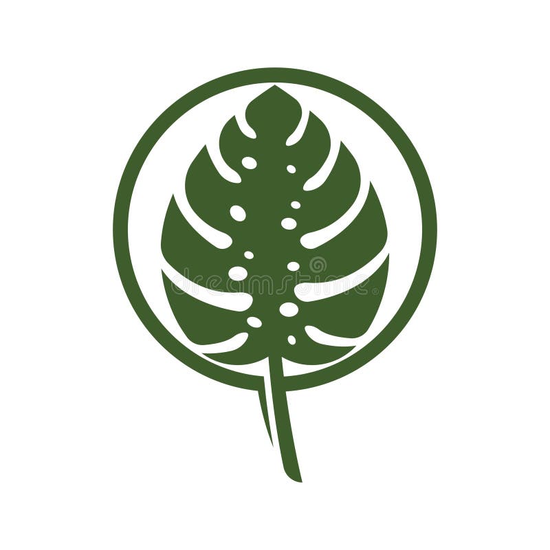 Monstera Leaf Logo Vector Design Stock Illustration - Illustration of ...