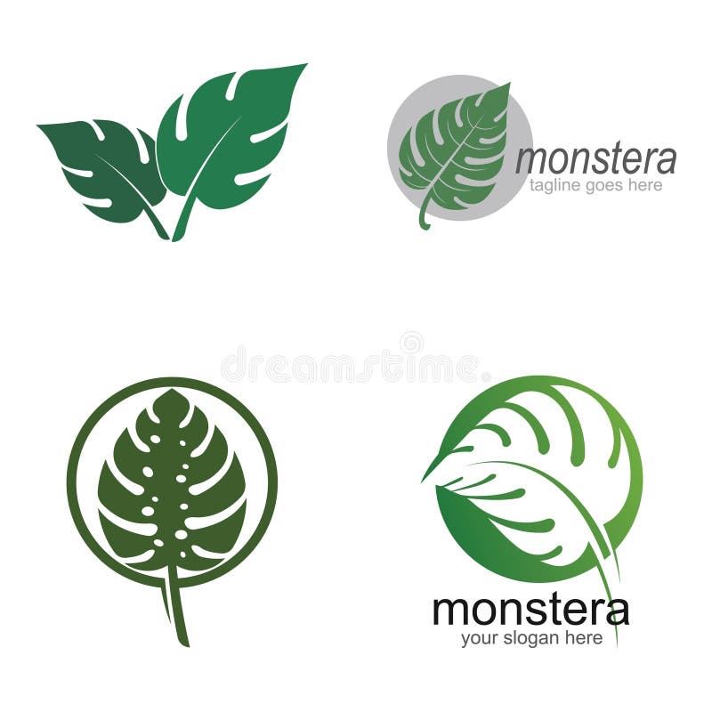 Monstera Leaf Logo Vector Design Stock Vector - Illustration of leaf ...