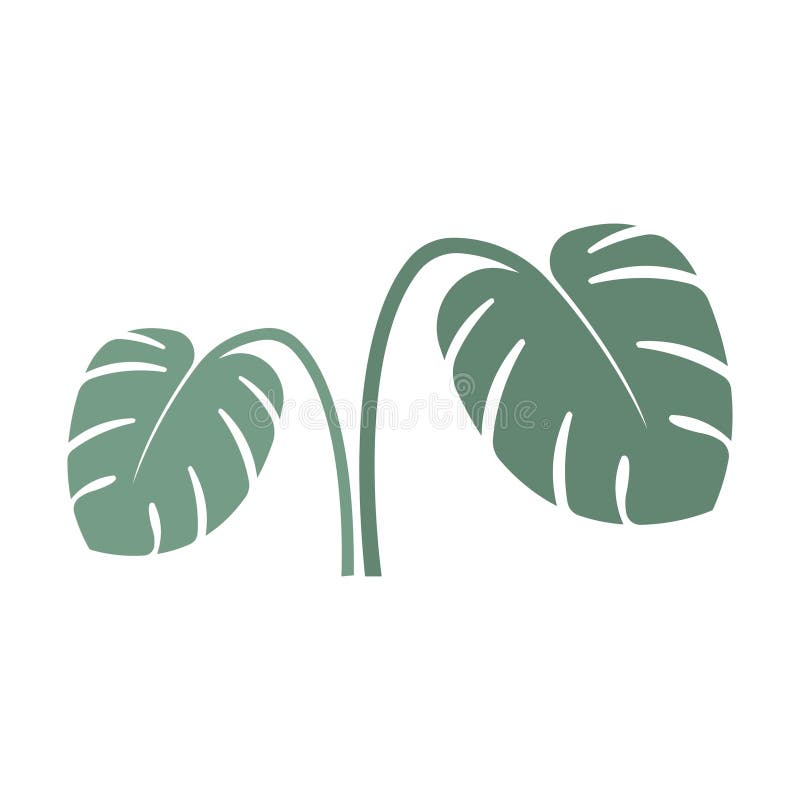 Monstera Leaf Logo Vector Design Stock Illustration - Illustration of ...