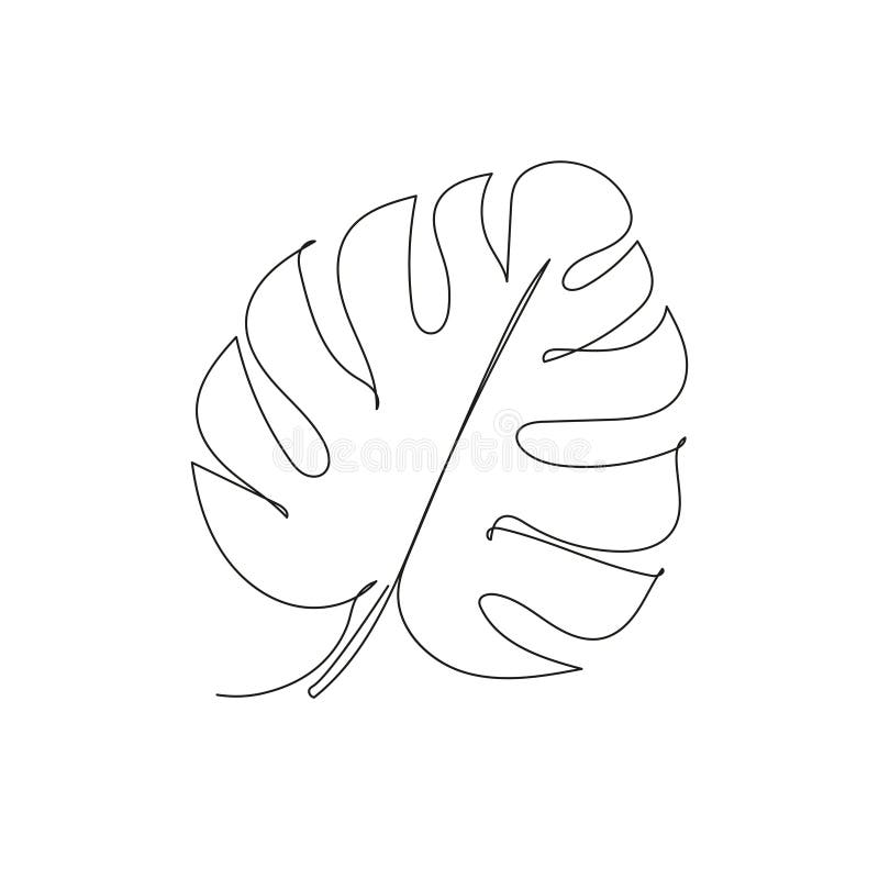 One Line Drawing Vector Monstera Leaf Stock Illustrations – 859 One ...