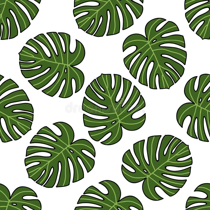 Monstera Leaf Seamless Doodle Pattern Stock Illustration - Illustration ...