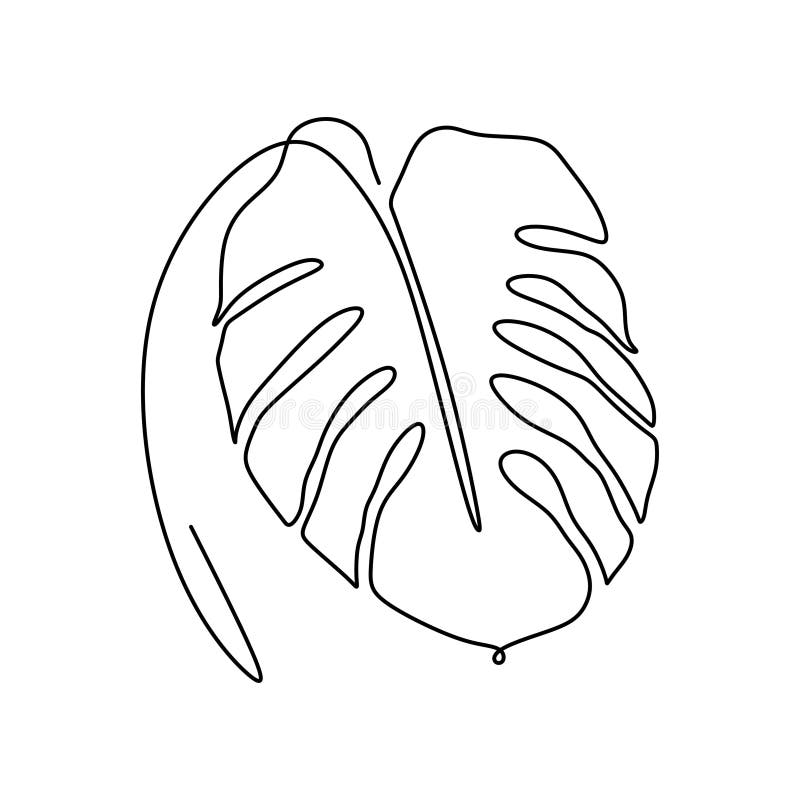 Monstera Leaf Line Drawing Stock Illustrations – 5,893 Monstera Leaf ...