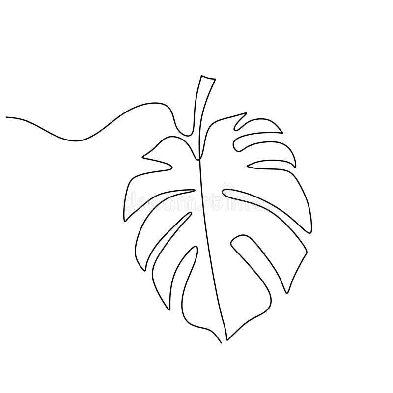Monstera Leaf Line Drawing Stock Illustrations – 5,893 Monstera Leaf ...