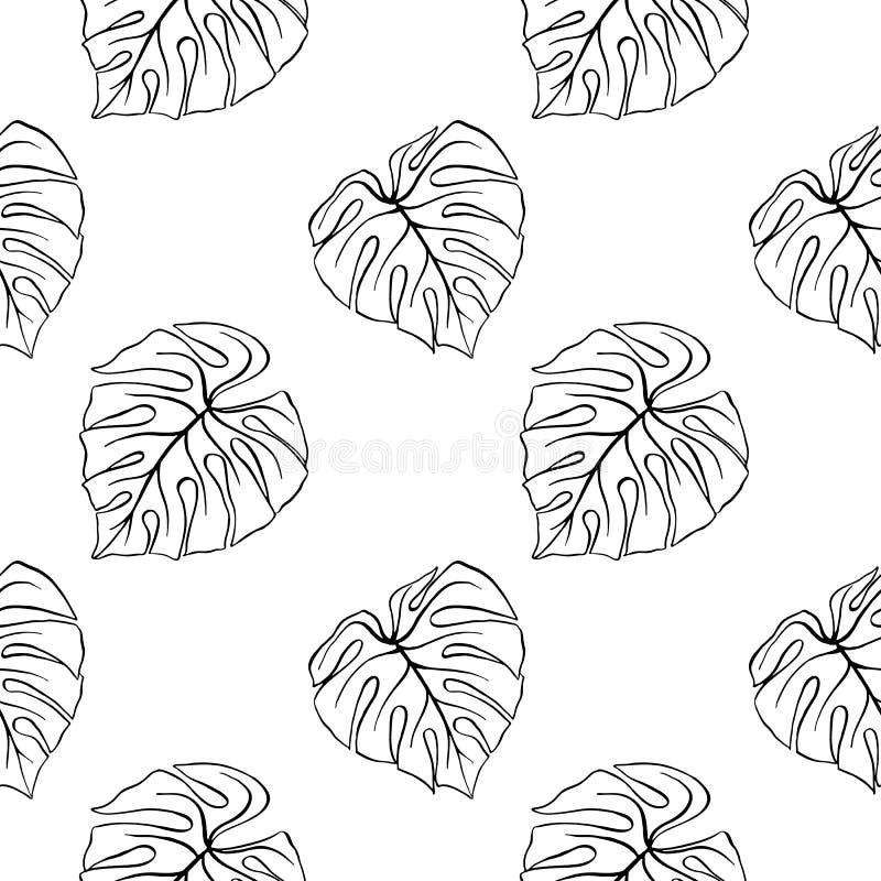 Monstera Leaf Tropical Plant Ink Line Art Hand Drawn Sketch Seamless ...