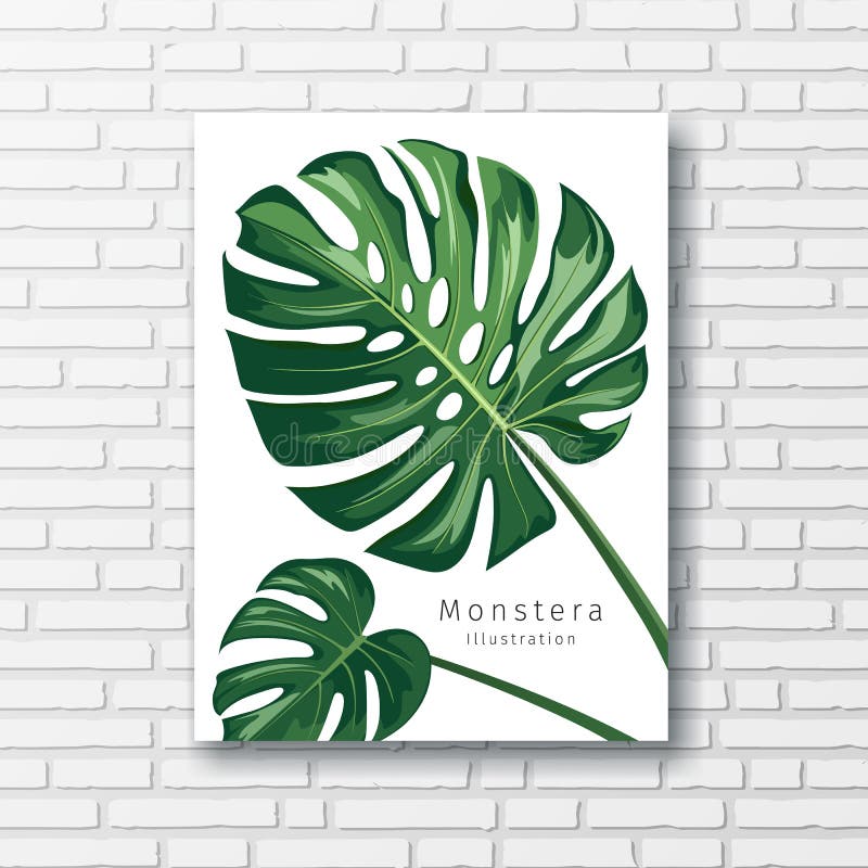 Monstera Leave Print White Frame, on Block Wall Background, Eps 10 ...