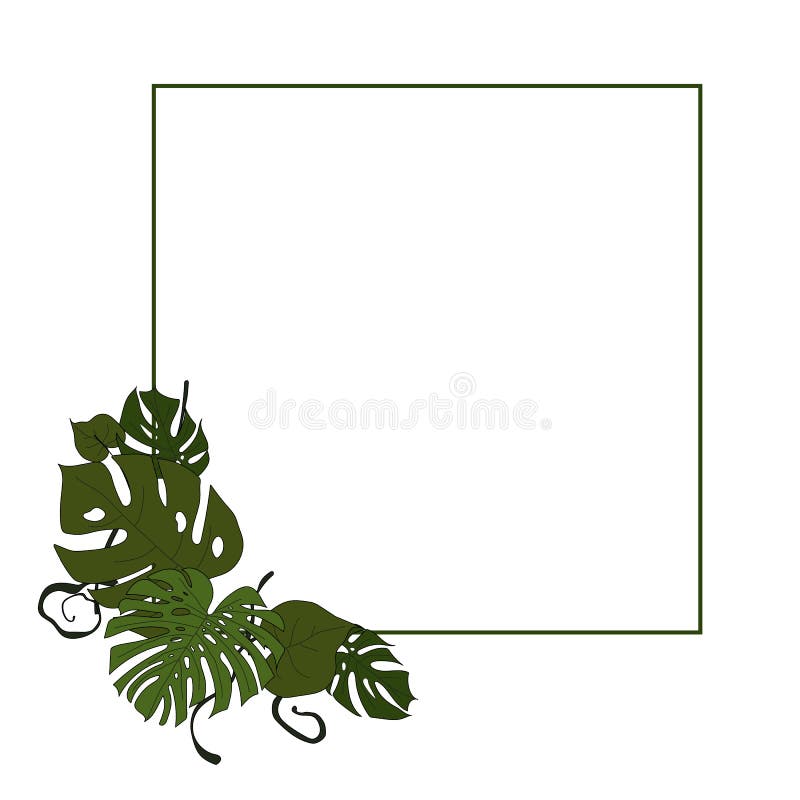Monstera leaves frame stock vector. Illustration of elegance - 231560698