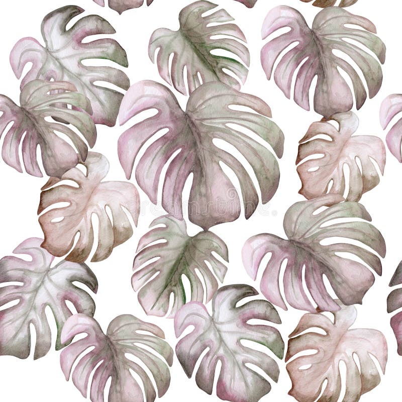 Monstera Leaves Seamless Pattern Isolated on White Background ...