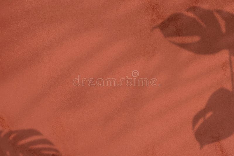 Monstera Leaves Shadow on Brown Background Stock Photo - Image of ...