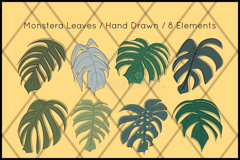 Monstera Leaves Tropical Exotic Organic Design Elements Set for Design Stock Vector ...