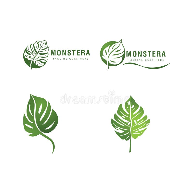 Monstera Logo Vector Template Symbol Design Stock Illustration ...