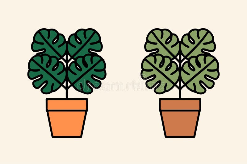 Monstera Plant Vector Illustration Stock Vector - Illustration of ...