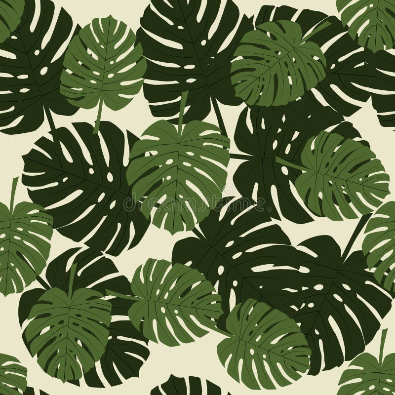 Monstera Seamless Pattern. Summer Backround and Print Stock Vector ...